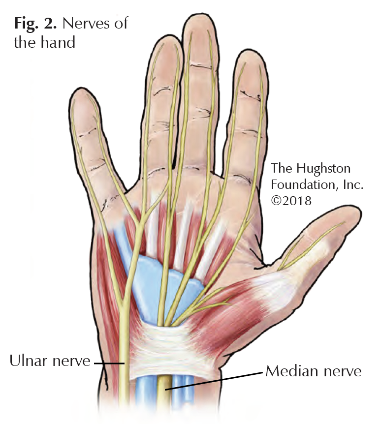 New Developments in Hand Surgery - Hughston Clinic