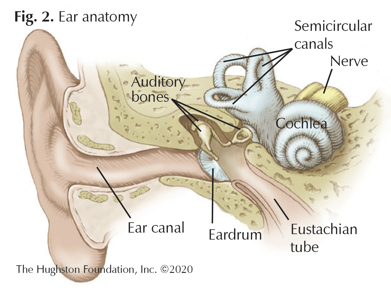 Hearing Aids - Hughston Clinic