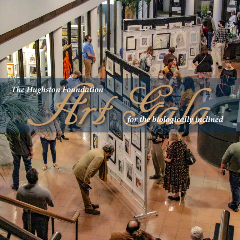 Hughston Foundation Art Gala 2021 | Gallery & Photos