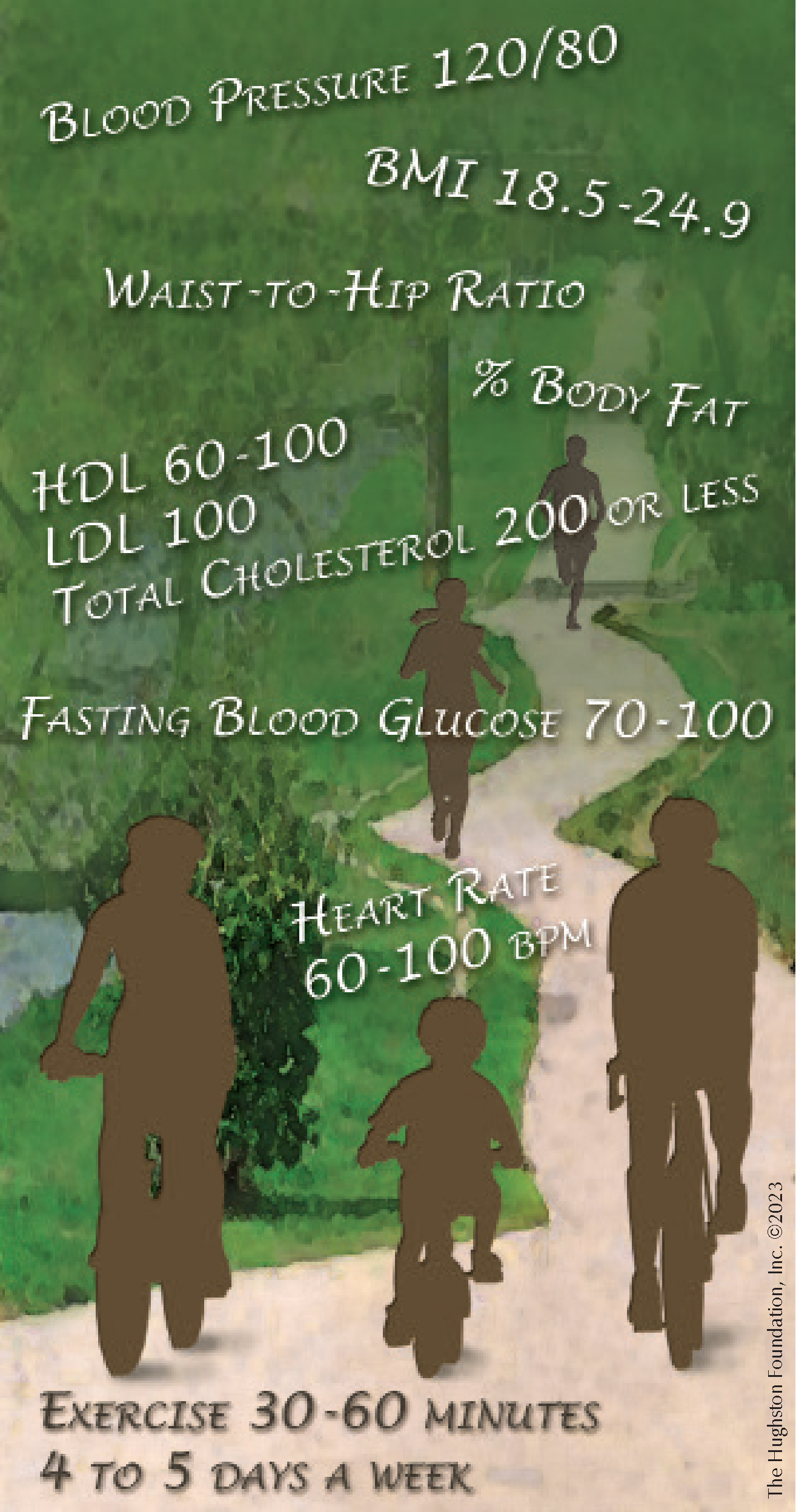 Wellness By The Numbers - Hughston Clinic